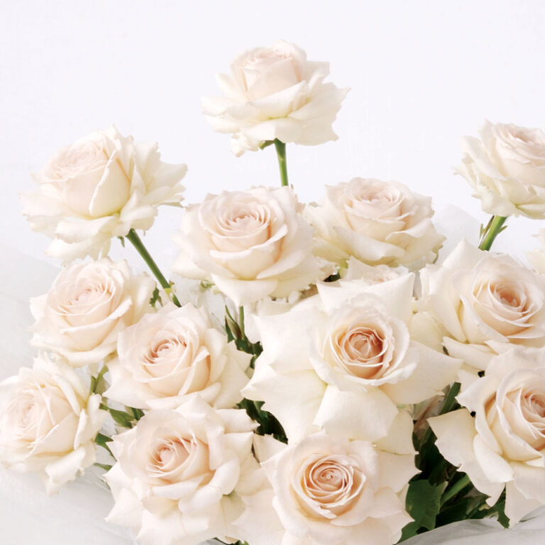 Classic Rose - Quicksand Bouquet - Bucket Full of Roses